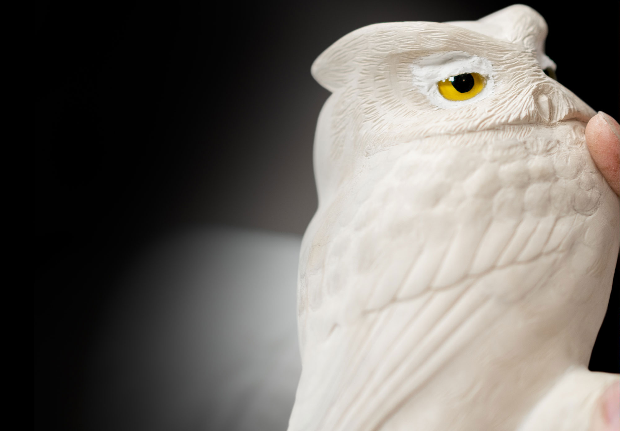 Gallery | Calgary Carvers